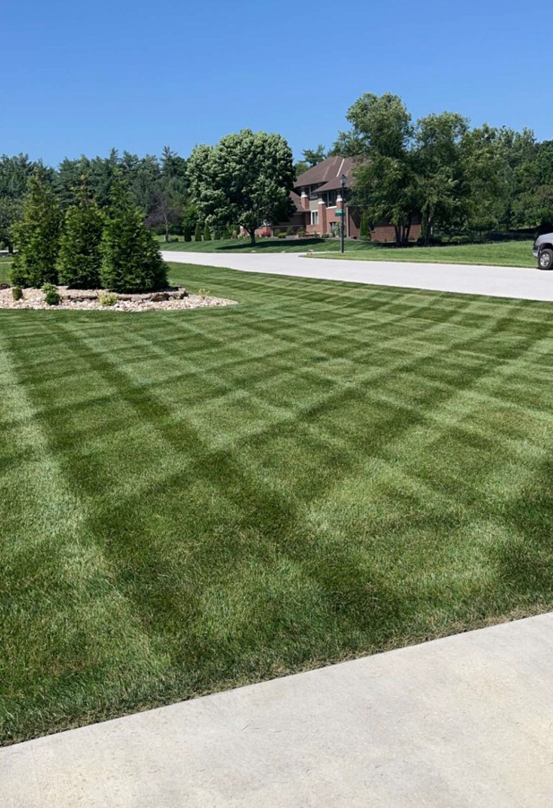 Landscapes - Precision Lawn Care